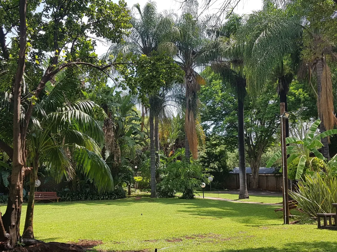 Lions Guesthouse -