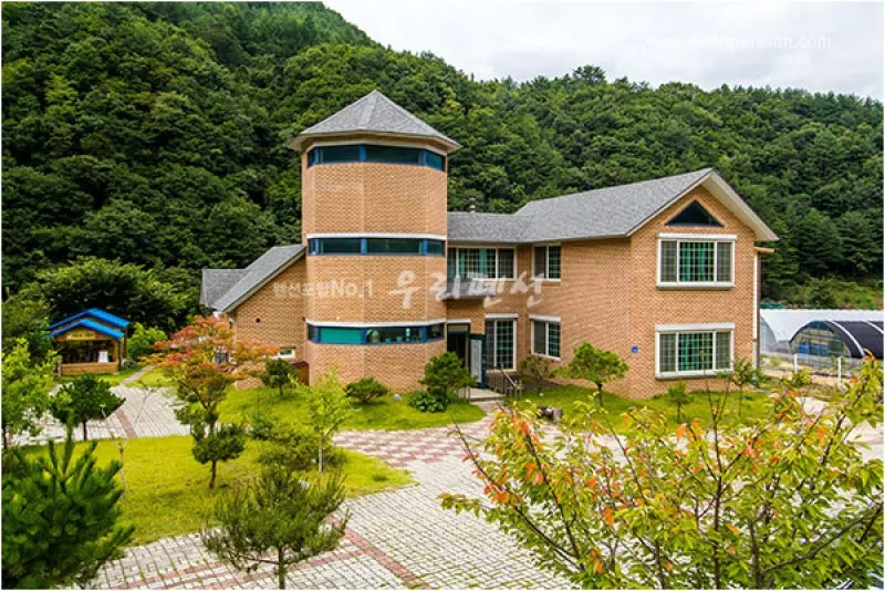 Gangneung Arcadia Pension - Yeongju-si