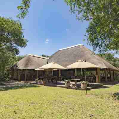 Latest Tembe Elephant Park Map,Address, Nearest Station & Airport 2024 ...