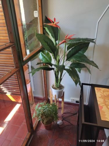 Departamento San Jorge (Mendoza) - 2026 Prices, Reviews & Deals | Trip.com