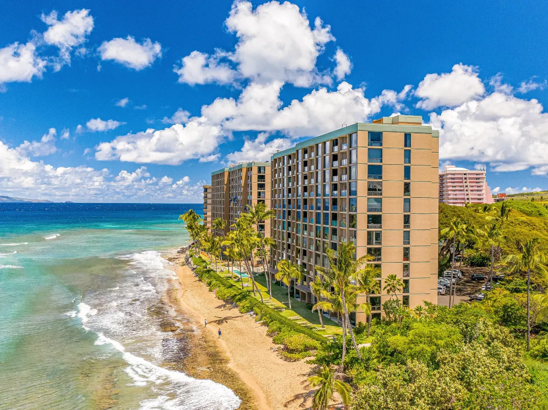 Daily Activities And Beautiful Views - Stunning Oceanfront Haven - Maui, HI