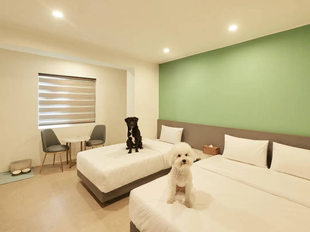 Doglia Hotel - Sokcho-si