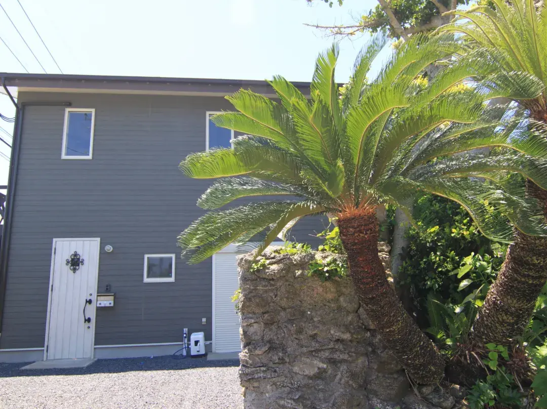 Monopolize The Beautiful Beach That Spreads Out In - Kagoshima