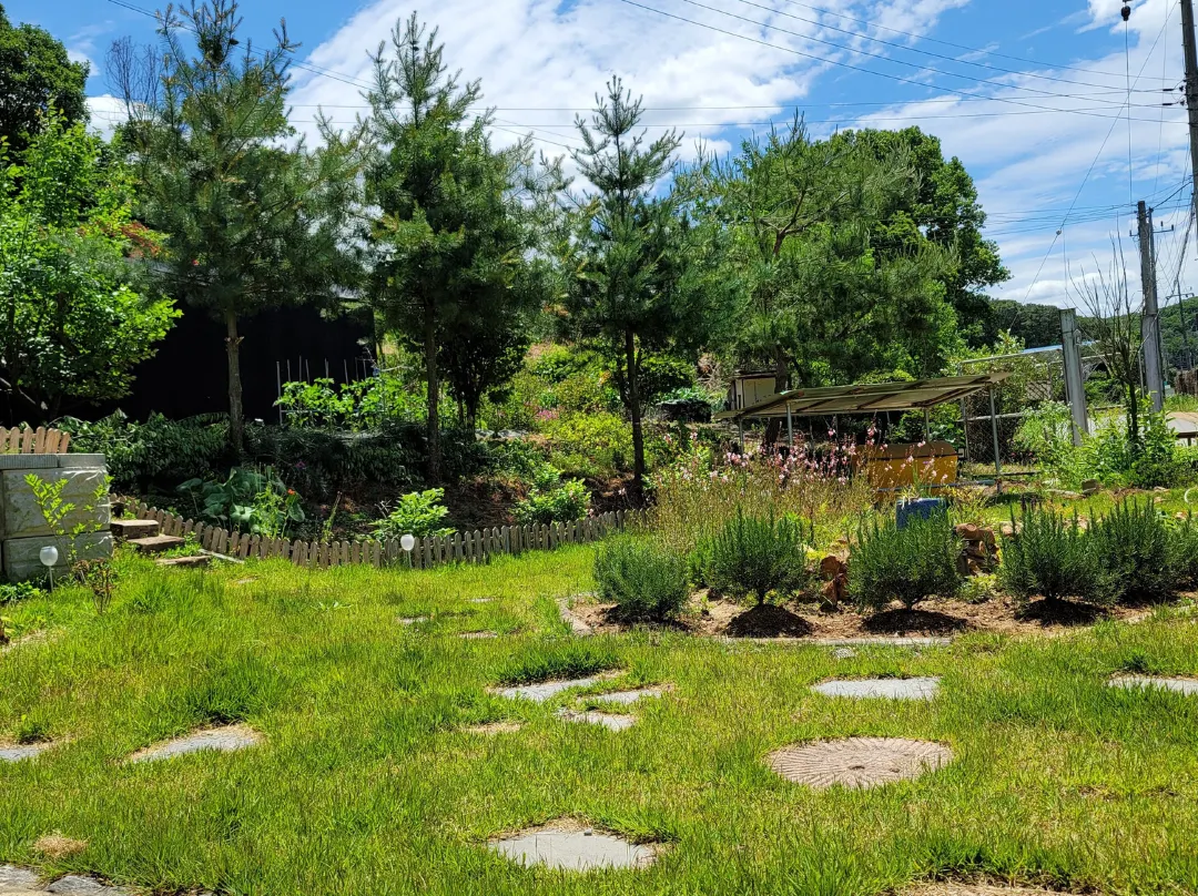 Paju Hanokaeseo Harureul - Paju-si