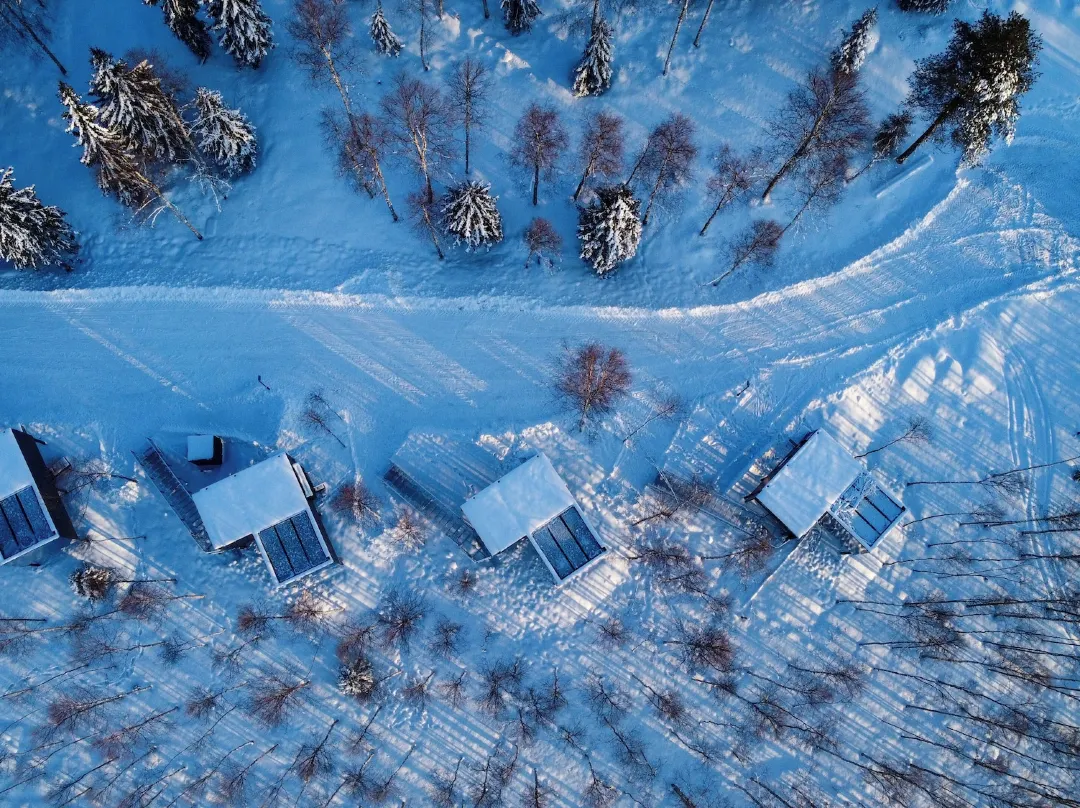 Silver Birch Resort Lapland - Lapland