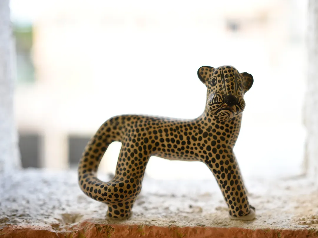 Cancun Guest House 1 - Cancún