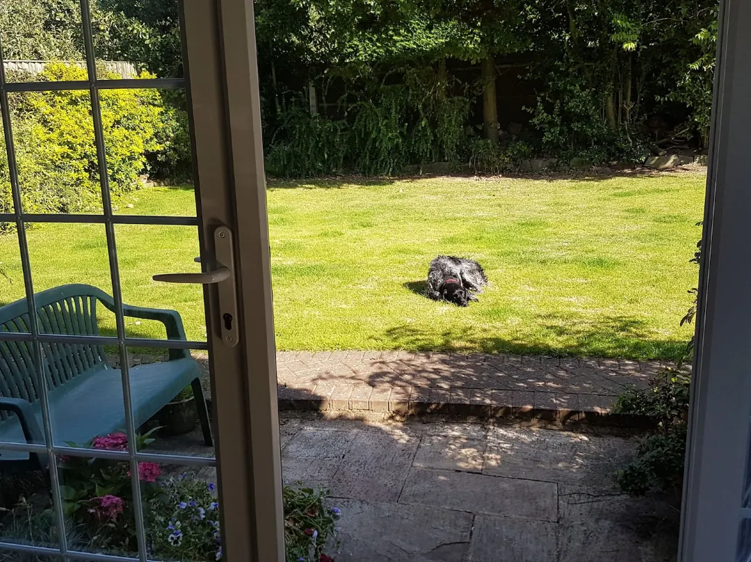 The Summer Room - Norwich