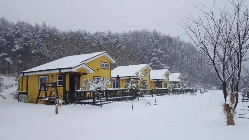 Hongcheon Sodam Masil Tourist Farm Pension - 홍천군