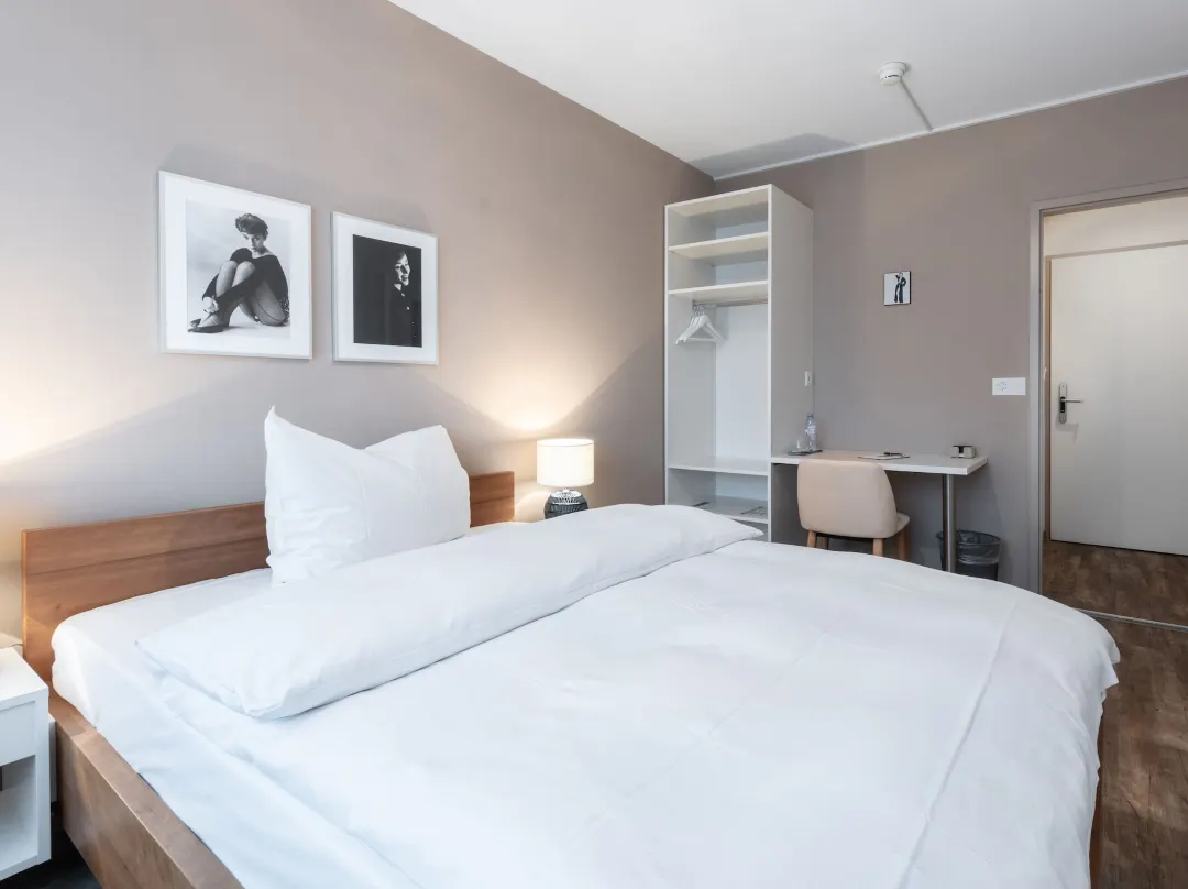 Hotel Birsighof Basel City Center - Basilea