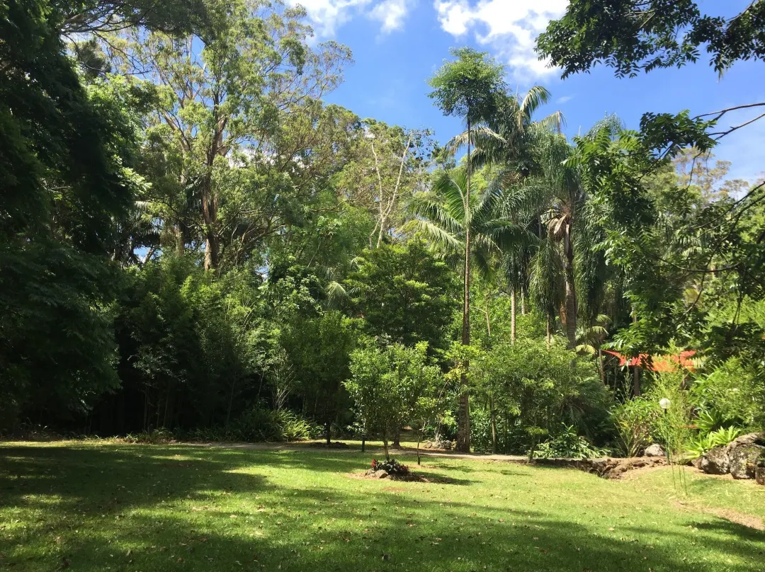 Songbirds Rainforest Retreat - Tamborine Mountain