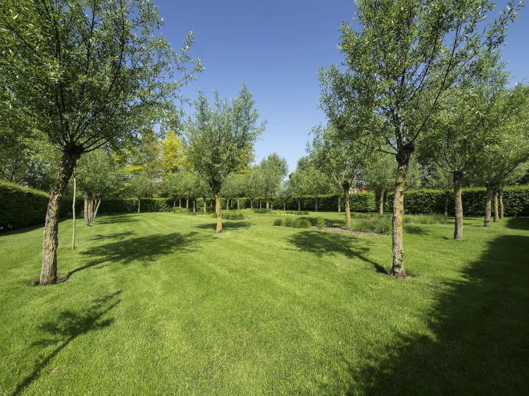 B&b Pronkenburg - Bruges