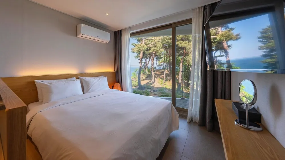 Stay Interview Gangneung - Gangneung-si