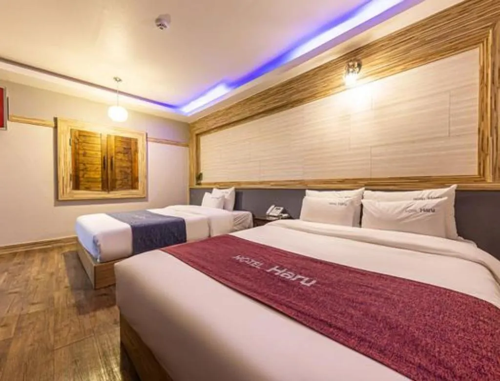 Hotel Haru - Chungju-si