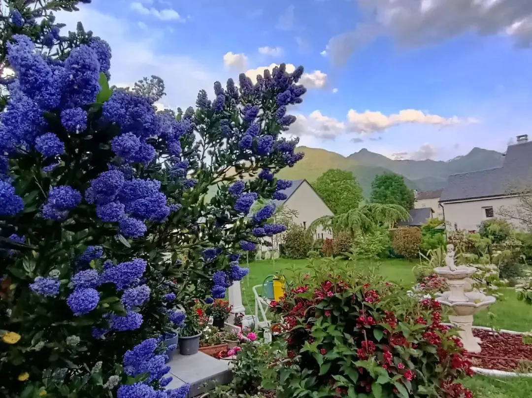 Le Balcon Des Cimes - Pierrefitte-Nestalas