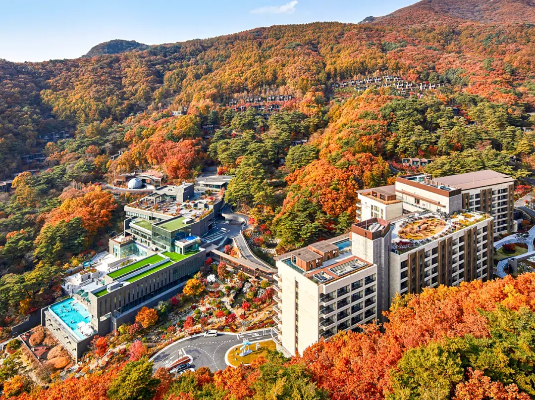 Restree And Forest Resom - Wonju-si