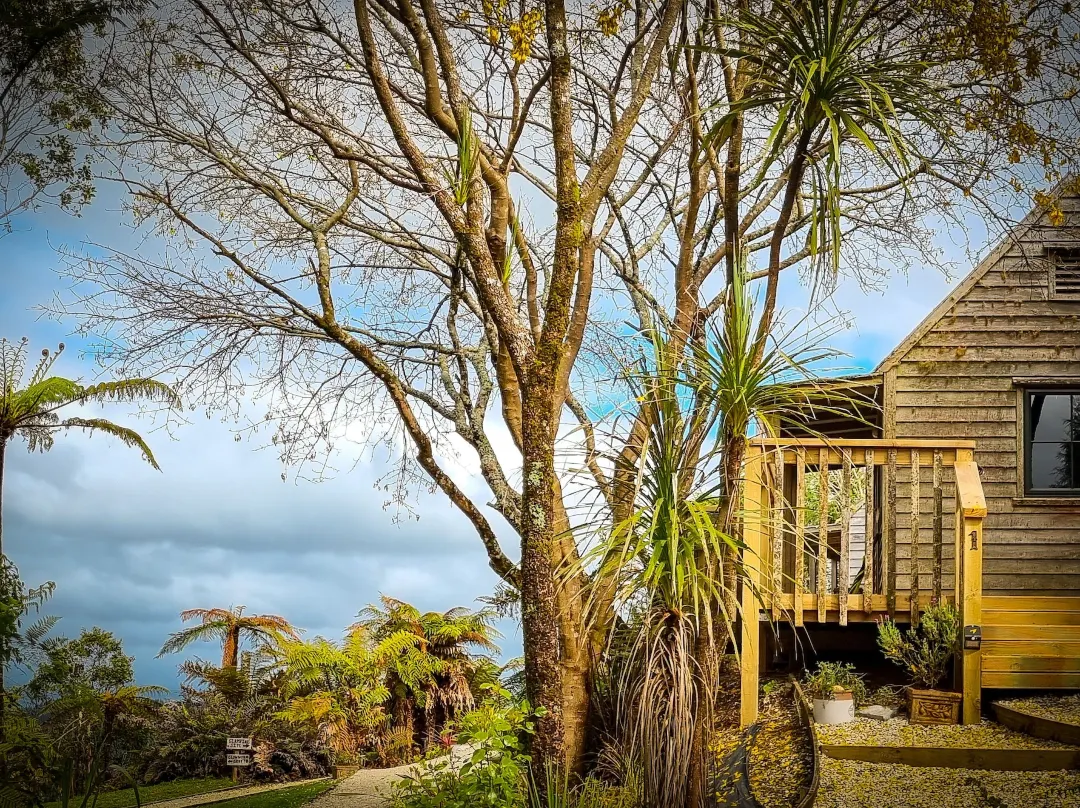 Te Tiro Accommodation - Nya Zeeland