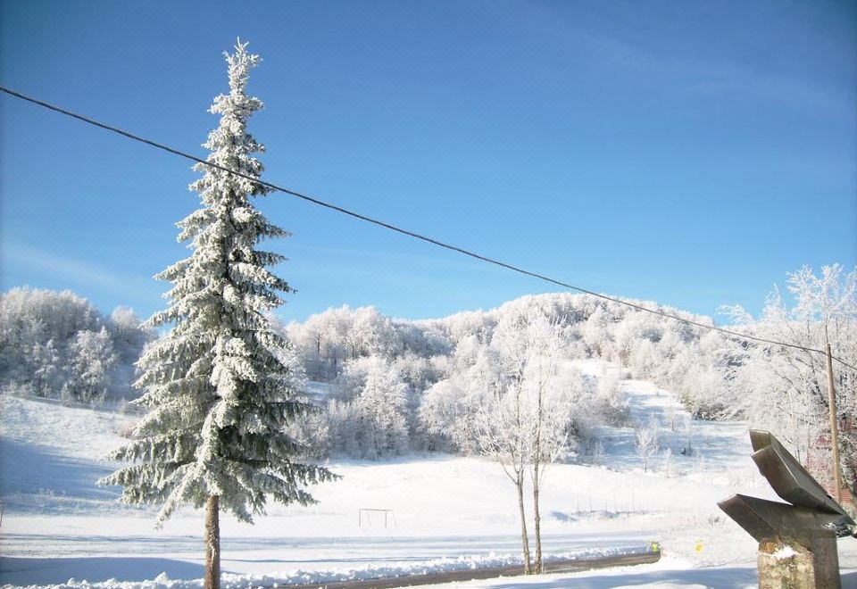 Planinski Raj Rooms,Mrkopalj - Updated 2024 Reviews & Prices | Trip.com