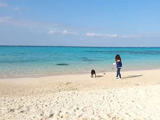 Kominka Kaneyama - Okinawa