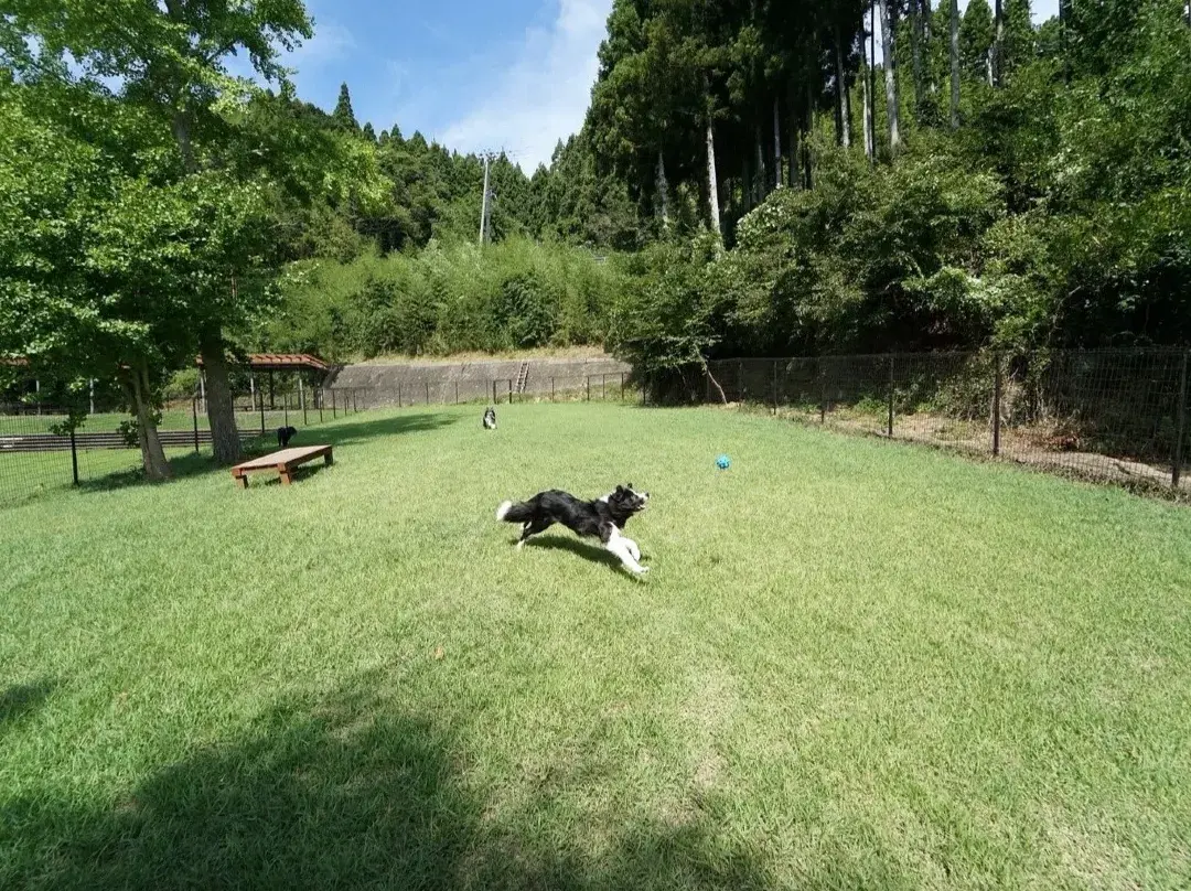 Oppawan Terrace - Miyagi