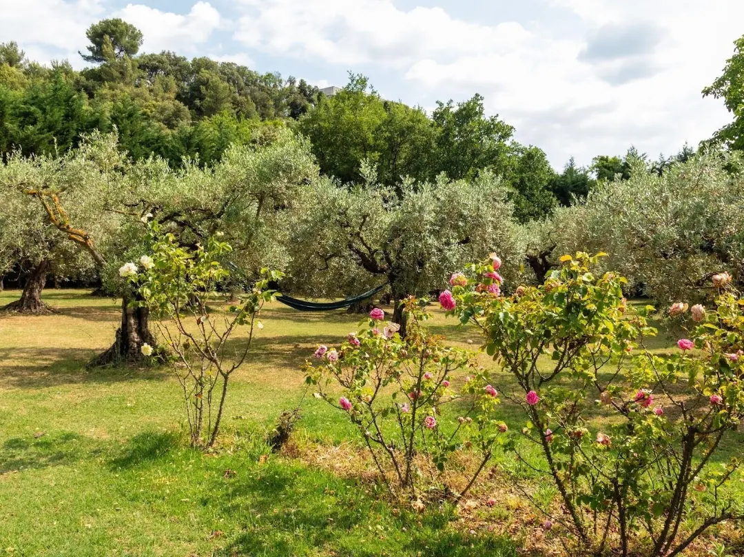 Douceur Des Mées - Alpes-de-Haute-Provence