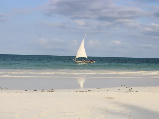 A Wonderful Beach Property In Diani Beach Kenya.a Dream Holiday Place. - Mombasa