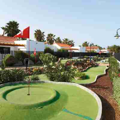 Latest Barceló Castillo Beach Resort Map,Address, Nearest Station ...