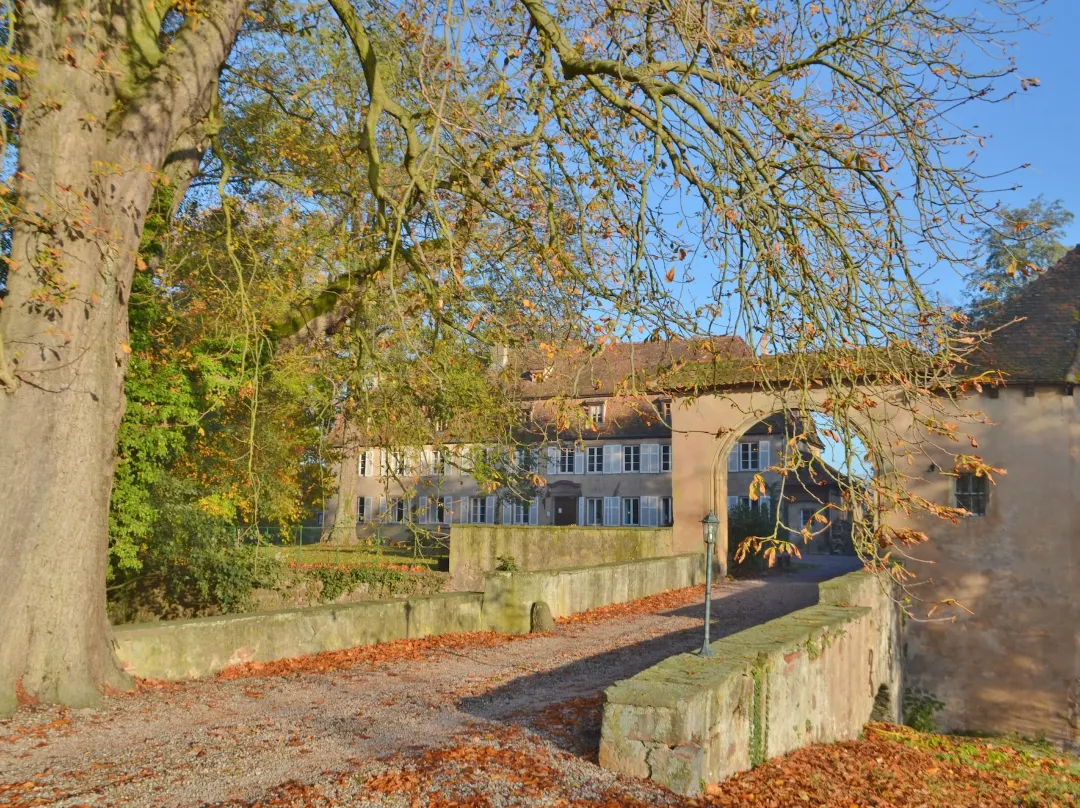 Chambres D'hôtes Château De Grunstein - Alsace