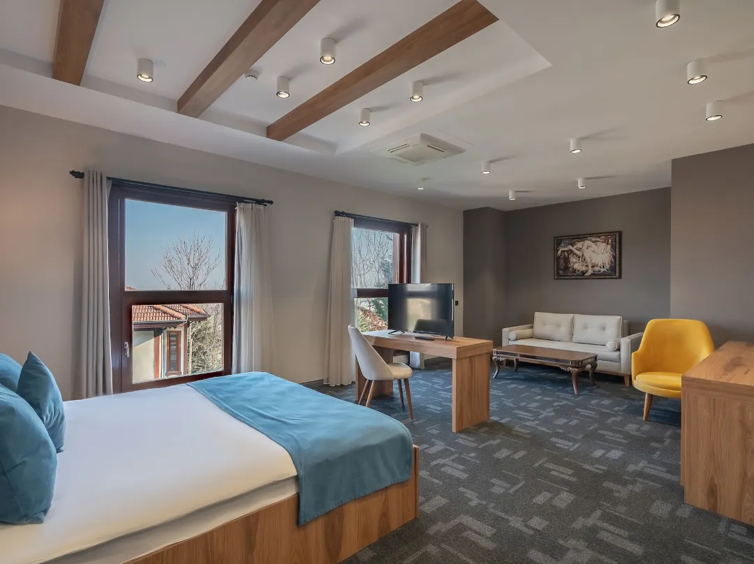 Erta Soyak Thermal Otel - Bursa