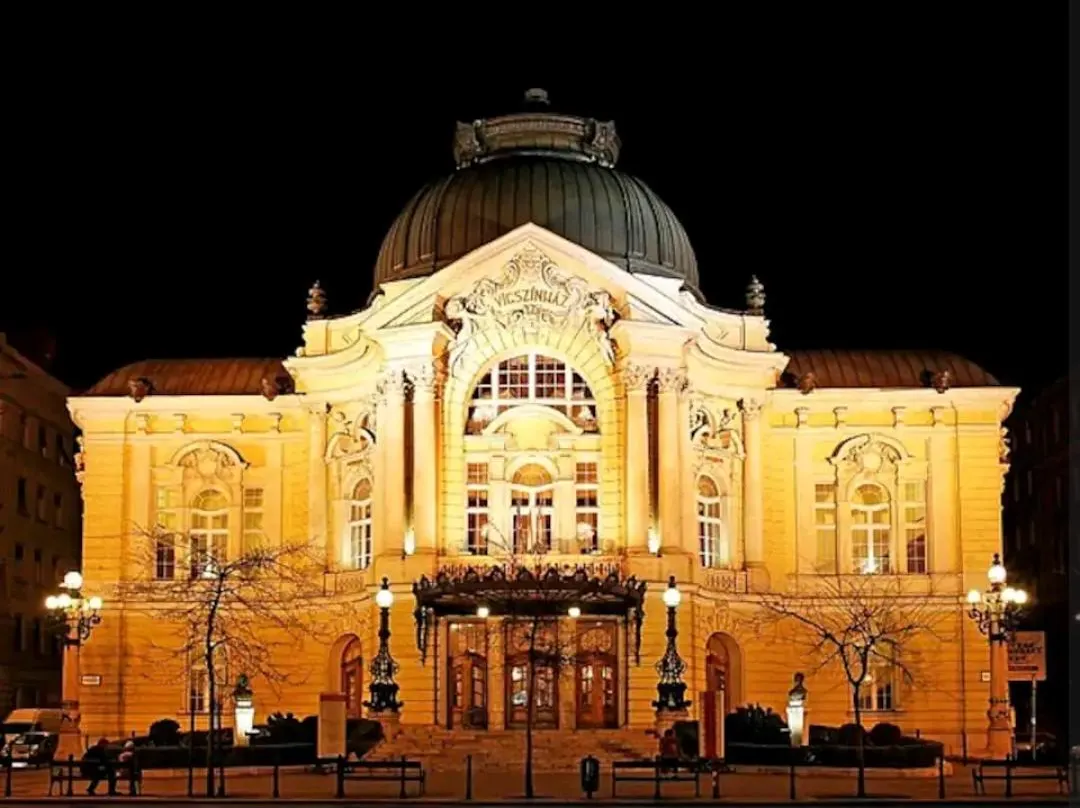 Riverside Mansion - Budapest