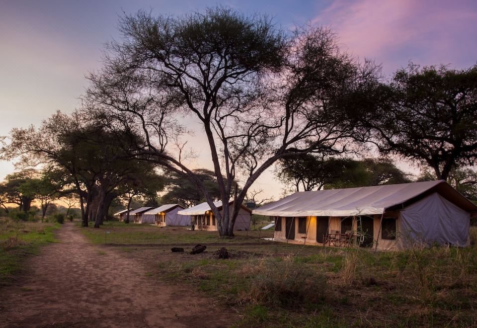 Baobab Tented Camp,Babati - Updated Prices & Hotel Reviews 2025 | Trip.com