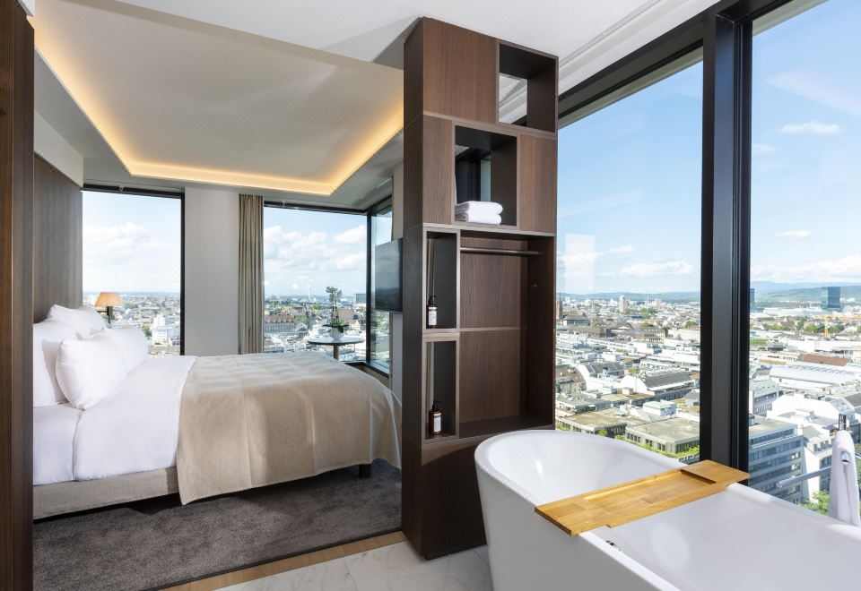 Movenpick Hotel Basel, Basel (Prices & Reviews 2024) | Trip.com
