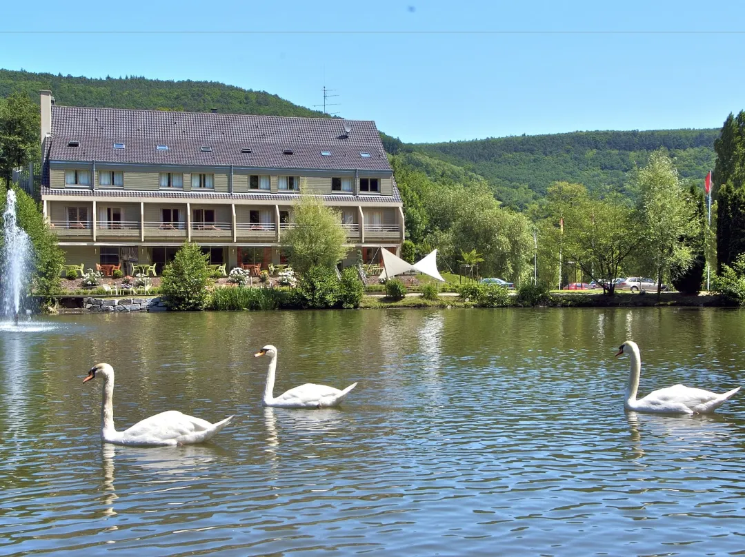 Hôtel Les Rives - Guebwiller