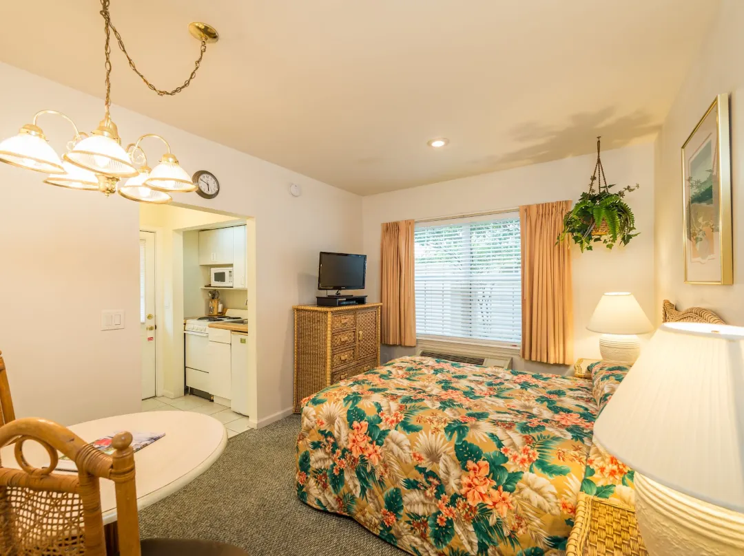 The Cozy Inn - Saint Augustine