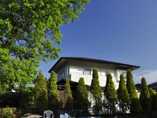 Shuzenji Forest - Izu