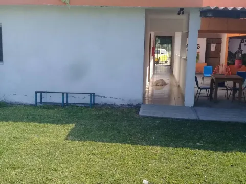 Hospedaje Familiar Op2 - Morelos