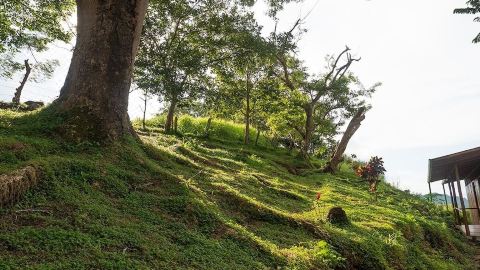 Finca Colibri Costa Rica,Paquera 2023 | Trip.com