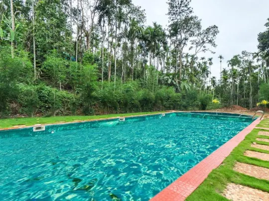 Nest N Mist Hospitality Pvt Ltd. - Wayanad