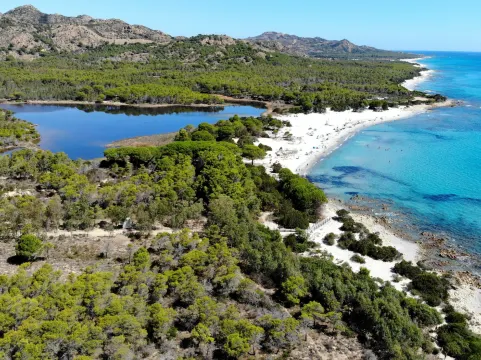 Residenza Idilliaca Cala Viola No1414 - Cerdeña