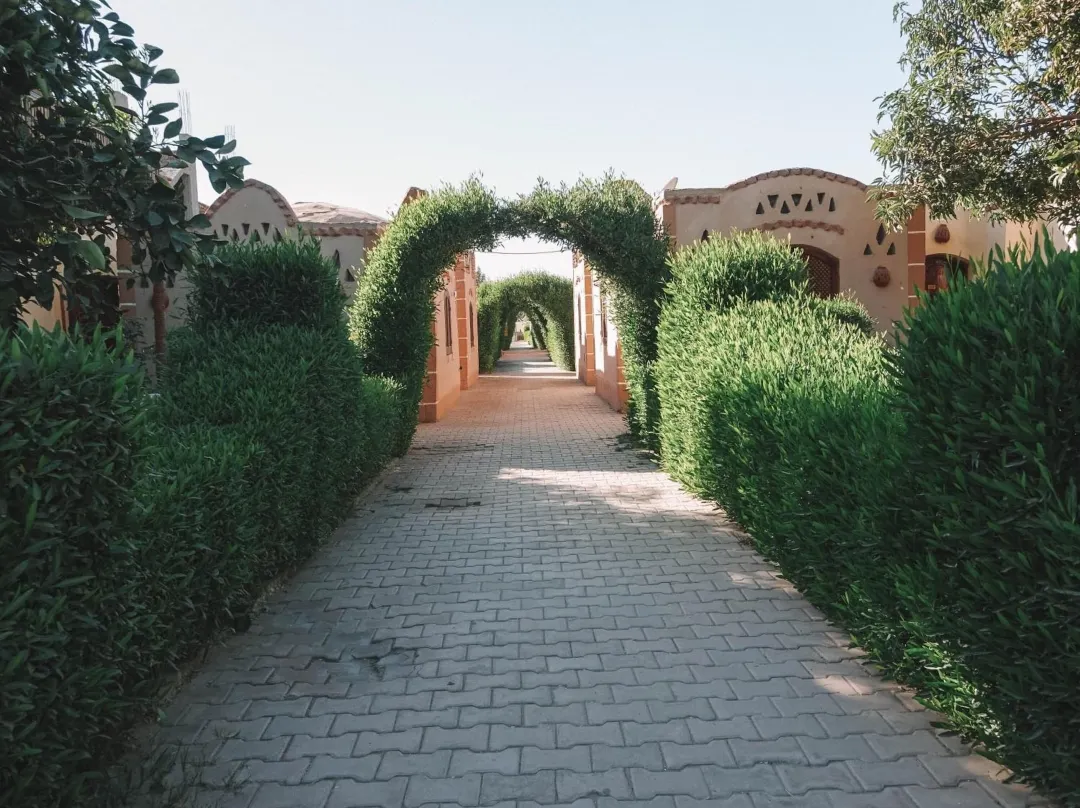 Al Baeirat Hotel - Luxor