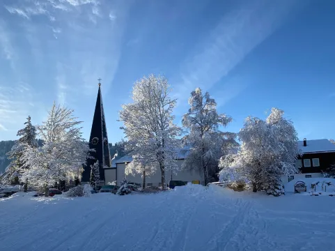 Fewo "Bergnest", Oberstaufen-steibis - Steibis