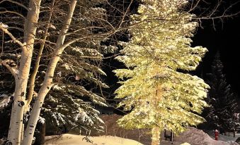 COPPER SKI MOUNTAIN EAST VILLAGE, PET FRIENDLY, VIEWS of SKY CHUTES ...