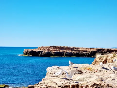 Apto Con Jardín Y Playa - Torrevieja