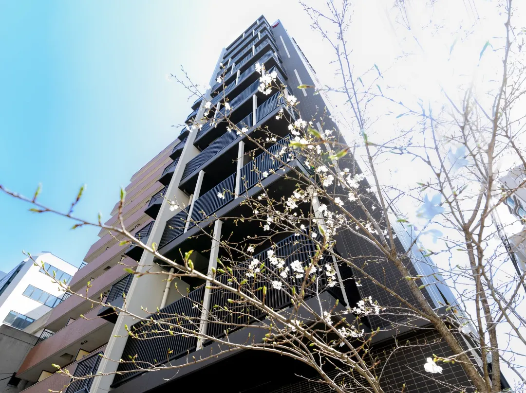 Ocean Shinsaibashi - Japan