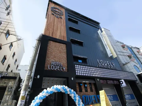 Daegu Bonridong Lovely Hotel - Daegu
