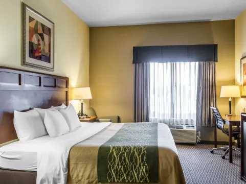 Comfort Inn And Suites - Kentucky