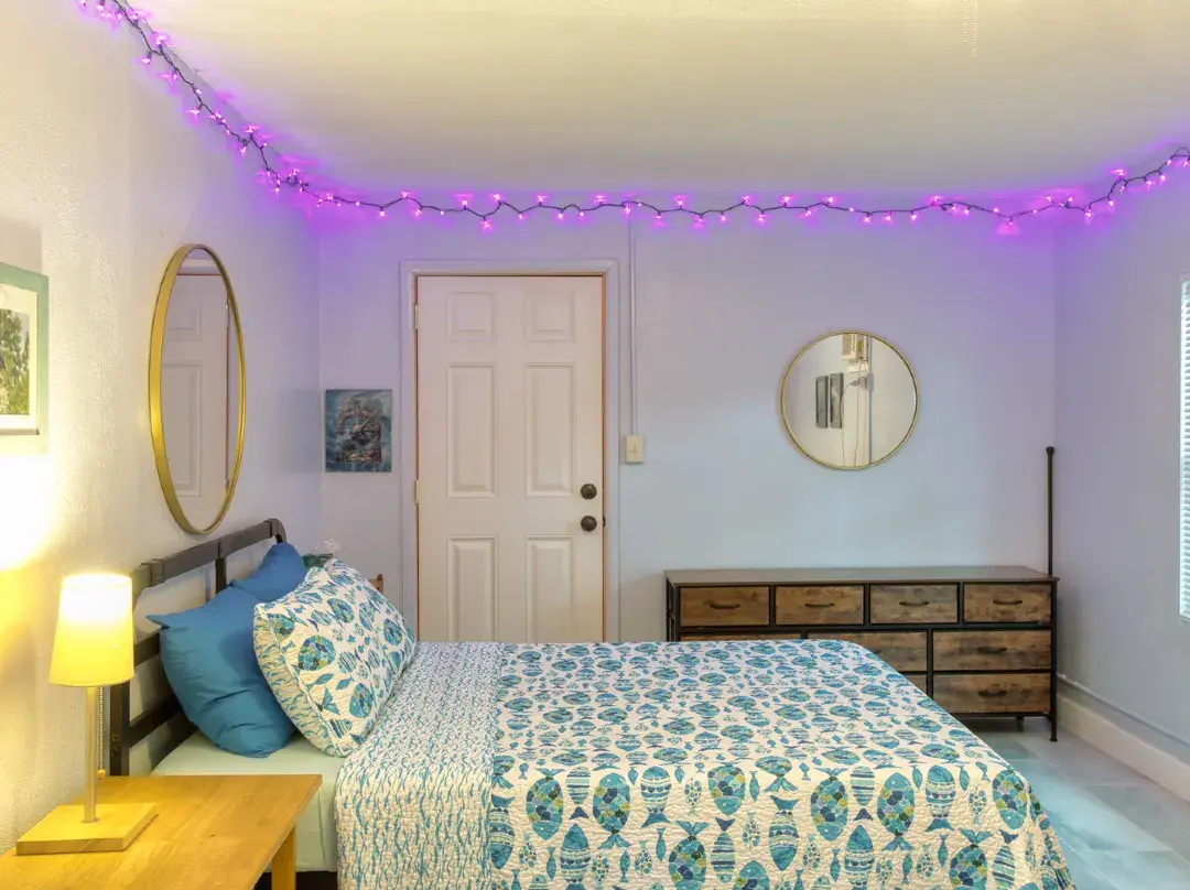 Peaceful Parrot And Parakeet - Gulfport, FL