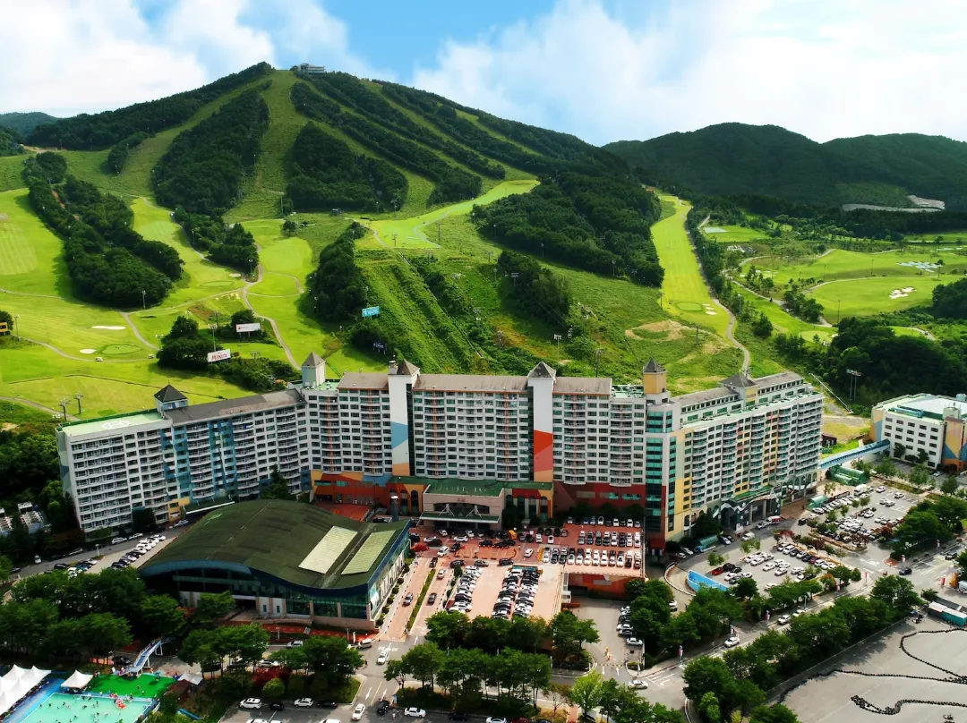Wellihilli Park Resort - 영월군