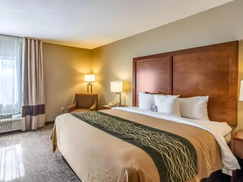 Comfort Inn - Oro Valley, AZ