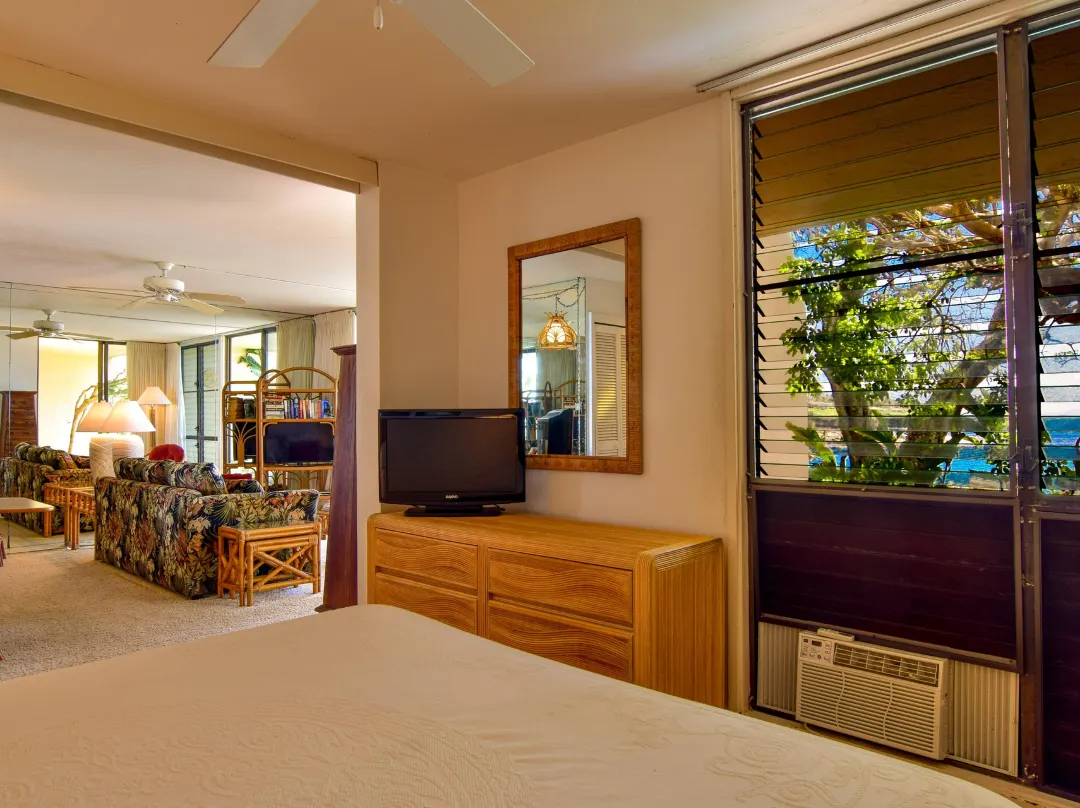 Breathtaking Views And Daily Activities - Stunning Oceanfront Escape - Maui