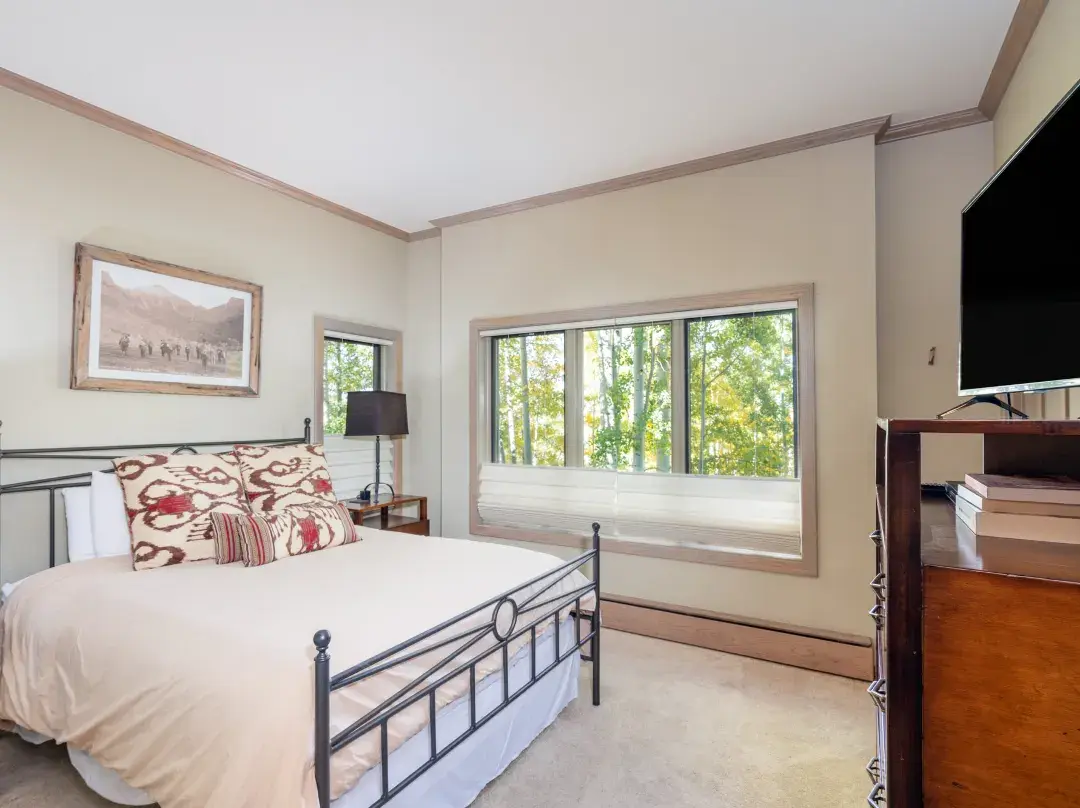 Ski Access And Hot Tub - Gorgeous Mountain Getaway - Telluride, CO